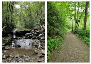 Visit These Waterfalls in Banner Elk NC | Eagles Nest